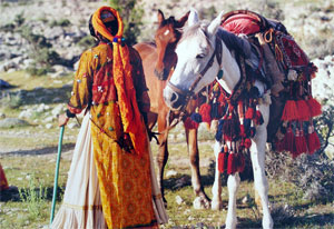 Basseri Tribe : History, Ecology and Economy - Persepolis Village